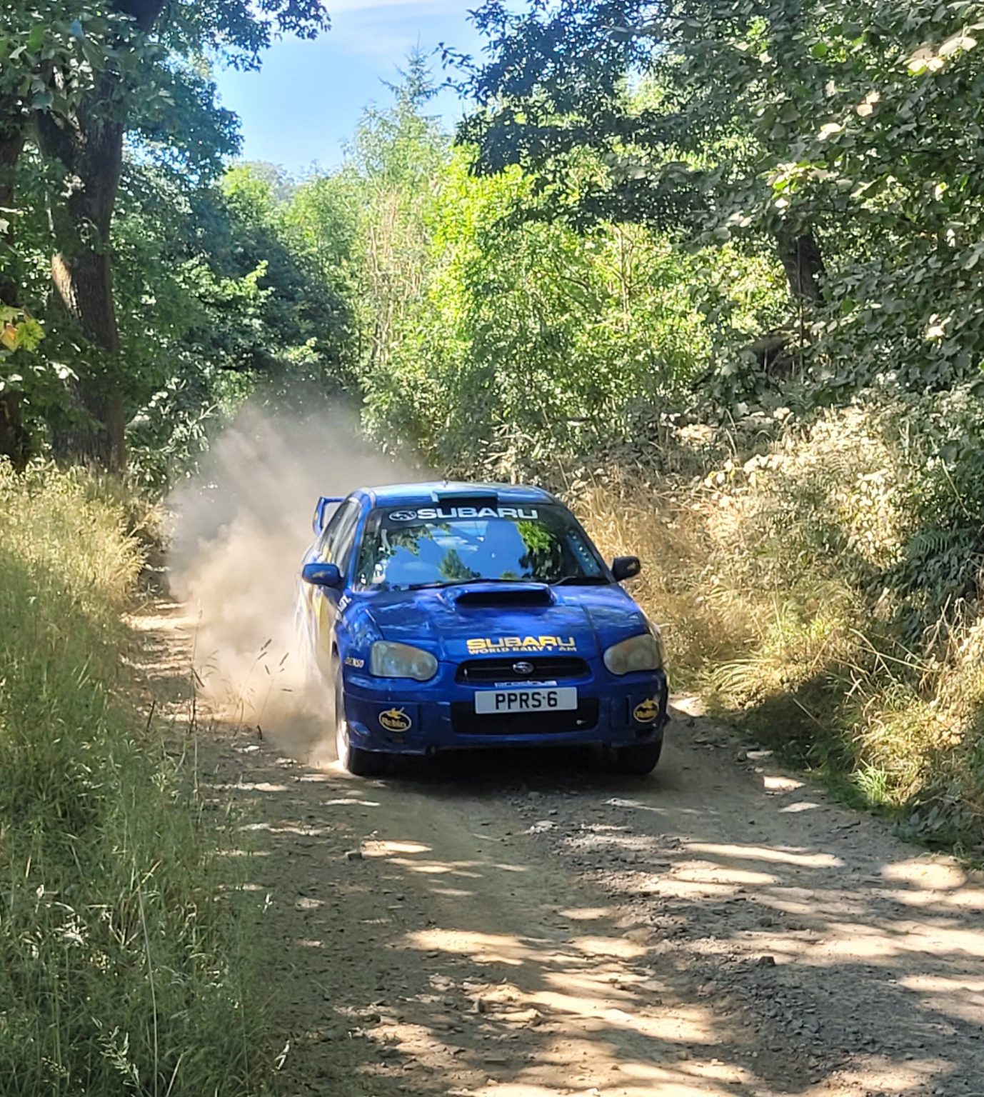 Motorsport UK (MSUK) License Exam & BARS Assessment Test